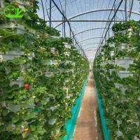 China Hydroponic Greenhouse Strawberry Length 30-100m Suitable for Vegetable Fruits Flowers for sale