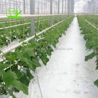 China Hydroponic Greenhouse Strawberry Length 30-100m Suitable for Vegetable Fruits Flowers for sale