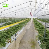 China Hydroponic Greenhouse Strawberry Length 30-100m Suitable for Vegetable Fruits Flowers for sale