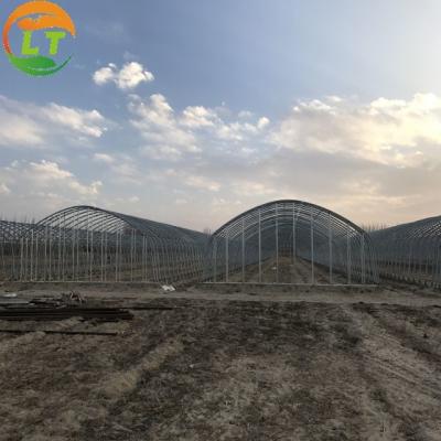 China Insulation Agricultural Plastic Film Greenhouse for Single-Span at in 6m 8m 10m Width for sale