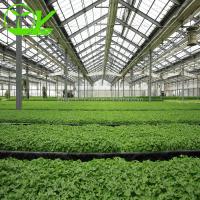 China Our Top-Notch Polycarbonate Greenhouse Single Layer 30-100m Length for sale