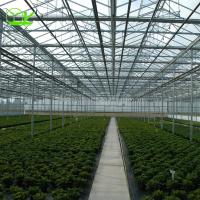 China Our Top-Notch Polycarbonate Greenhouse Single Layer 30-100m Length for sale
