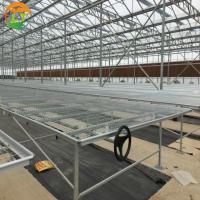 China Large Polycarbonate Greenhouse for Vegetable and Flower Cultivation for sale
