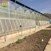 China Large Polycarbonate Greenhouse for Vegetable and Flower Cultivation for sale