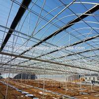 China Hydroponic System for Aquaponics in Multi-Span Agricultural Greenhouse for sale