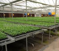 China Hydroponic System for Aquaponics in Multi-Span Agricultural Greenhouse for sale