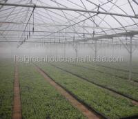 China Hydroponic System for Aquaponics in Multi-Span Agricultural Greenhouse for sale