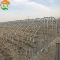 China Single-Span Film Tunnels Greenhouse for Agriculture Width 6m/8m/10m/12m/Customized Color for sale