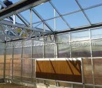 China Hydroponic System for Aquaponics in Multi-Span Agricultural Greenhouse for sale
