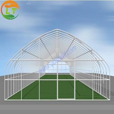 China Height Designable by the Inner Plants Design Small High Tunnel Greenhouse in Outdoors for sale