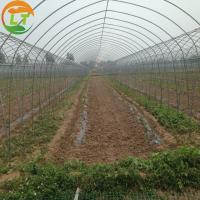 China Height Designable by the Inner Plants Design Small High Tunnel Greenhouse in Outdoors for sale