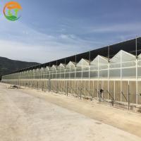 China High Yield Hydroponic Greenhouse for Tomatoes Vegetables and Flowers in Any Season for sale