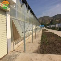 China High Yield Hydroponic Greenhouse for Tomatoes Vegetables and Flowers in Any Season for sale