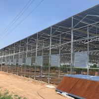 China Inside Outside Shading System Hot Galvanized Steel Frame Large Polycarbonate Greenhouse for sale