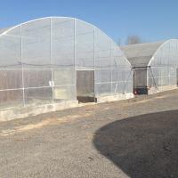 China LiTai Greenhouse High Tunnel Greenhouse for Agricultural Plants Growing Instruction for sale
