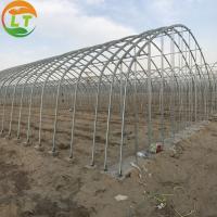 China LiTai Greenhouse High Tunnel Greenhouse for Agricultural Plants Growing Instruction for sale