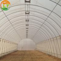 China LiTai Greenhouse High Tunnel Greenhouse for Agricultural Plants Growing Instruction for sale
