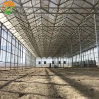 China Multi Span Agriculture Polycarbonate Greenhouse with Hydroponics Cooling Pad Fan System for sale
