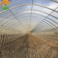 China Film Cover Metal Frame Greenhouse Easy to Install and Ideal for Growing Various Plants for sale