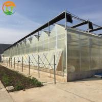 China Hot Galvanized Steel Frame Multi-span Hydroponic Greenhouse System for Agriculture for sale