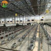 China Hot Galvanized Steel Frame Multi-span Hydroponic Greenhouse System for Agriculture for sale