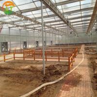 China Hot Galvanized Steel Frame Multi-span Hydroponic Greenhouse System for Agriculture for sale