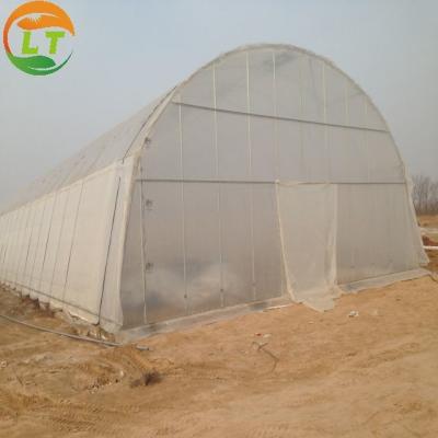 China Single-Span Agricultural Greenhouses 50m250 Square Plastic Film Greenhouse from LiTai for sale