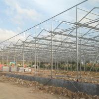 China Multi-Span Agricultural Greenhouses for Sustainable Fruits and Vegetables Cultivation for sale