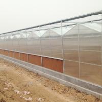 China Multi-Span Agricultural Greenhouses for Sustainable Fruits and Vegetables Cultivation for sale