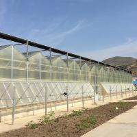 China Multi-Span Agricultural Greenhouses for Sustainable Fruits and Vegetables Cultivation for sale