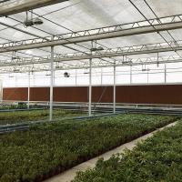 China Commercial Polycarbonate Greenhouse for Versatile Vegetable Fruit and Flower Cultivation for sale