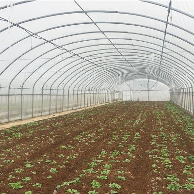 China Film Cover Single-Span Agricultural Greenhouses for Agricultural Cultivation for sale