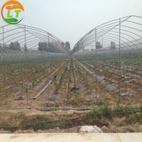 China Film Cover Galvanized Skeleton Agricultural Equipment for Mushroom Growing Production for sale