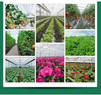 China Film Cover Galvanized Skeleton Agricultural Equipment for Mushroom Growing Production for sale