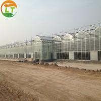 China Customized Length Film Multi-Span Greenhouse with Film Cover at Affordable for sale