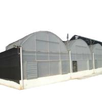 China Hot Galvanized Steel Pipe Customized Layer Multi-span Film Greenhouse for High Output for sale