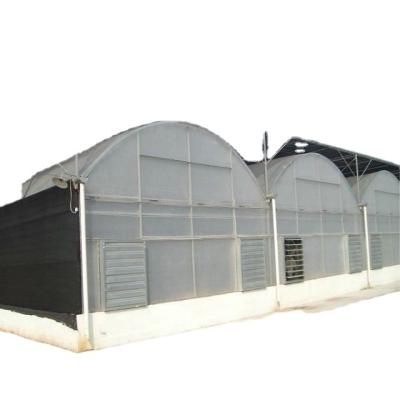 China Hot Galvanized Steel Pipe Customized Layer Multi-span Film Greenhouse for High Output for sale