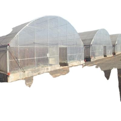 China Galvanized Steel Single-span Tunnel Greenhouse for Growing Vegetables Fruits Flowers for sale