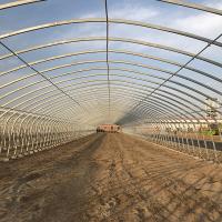 China Galvanized Steel Single-span Tunnel Greenhouse for Growing Vegetables Fruits Flowers for sale