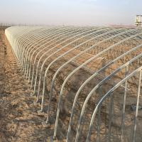 China Galvanized Steel Single-span Tunnel Greenhouse for Growing Vegetables Fruits Flowers for sale