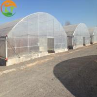 China Tunnel Greenhouse for Strawberries and Tomatoes Planting Fast Delivery within 30 Days for sale