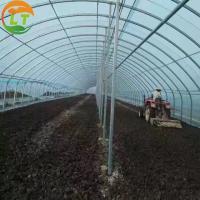 China Tunnel Greenhouse for Strawberries and Tomatoes Planting Fast Delivery within 30 Days for sale