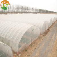 China Tunnel Greenhouse for Strawberries and Tomatoes Planting Fast Delivery within 30 Days for sale