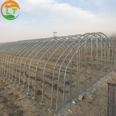 China Film Cover Material Hot-dipped Galvanized Frame Agricultural Greenhouse in 6m/8m/10m/12m for sale