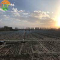 China Film Cover Material Hot-dipped Galvanized Frame Agricultural Greenhouse in 6m/8m/10m/12m for sale