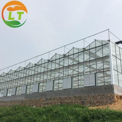 China LITAI Greenhouse end Hot-dip Galvanized Steel Planting Greenhouse with Glass Material for sale