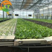 China LITAI Greenhouse end Hot-dip Galvanized Steel Planting Greenhouse with Glass Material for sale