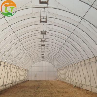 China Portable Mushroom Mini Greenhouse with 8m Width and Single/Double Layer Covering Film for sale
