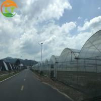 China Vegetables Growing Multi-span Film Greenhouse 3m Height with Hot-dip Galvanized Pipe for sale