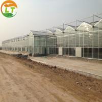 China Vegetables Growing Multi-span Film Greenhouse 3m Height with Hot-dip Galvanized Pipe for sale